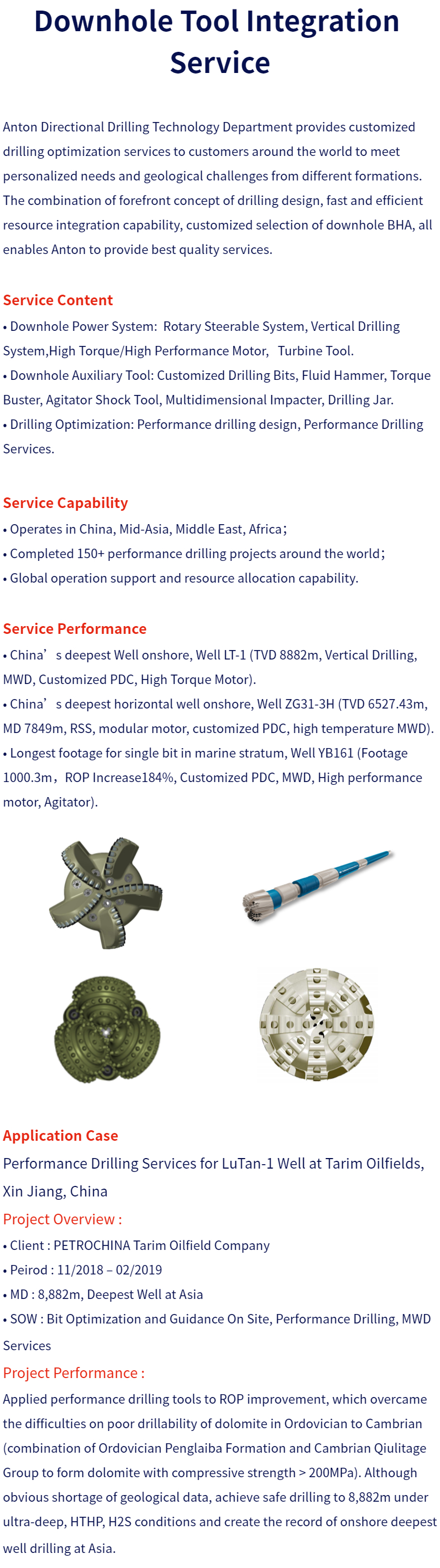 Downhole Tool Integration Services